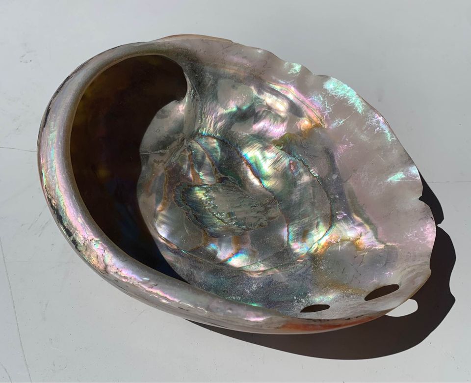 Abalone Pearl