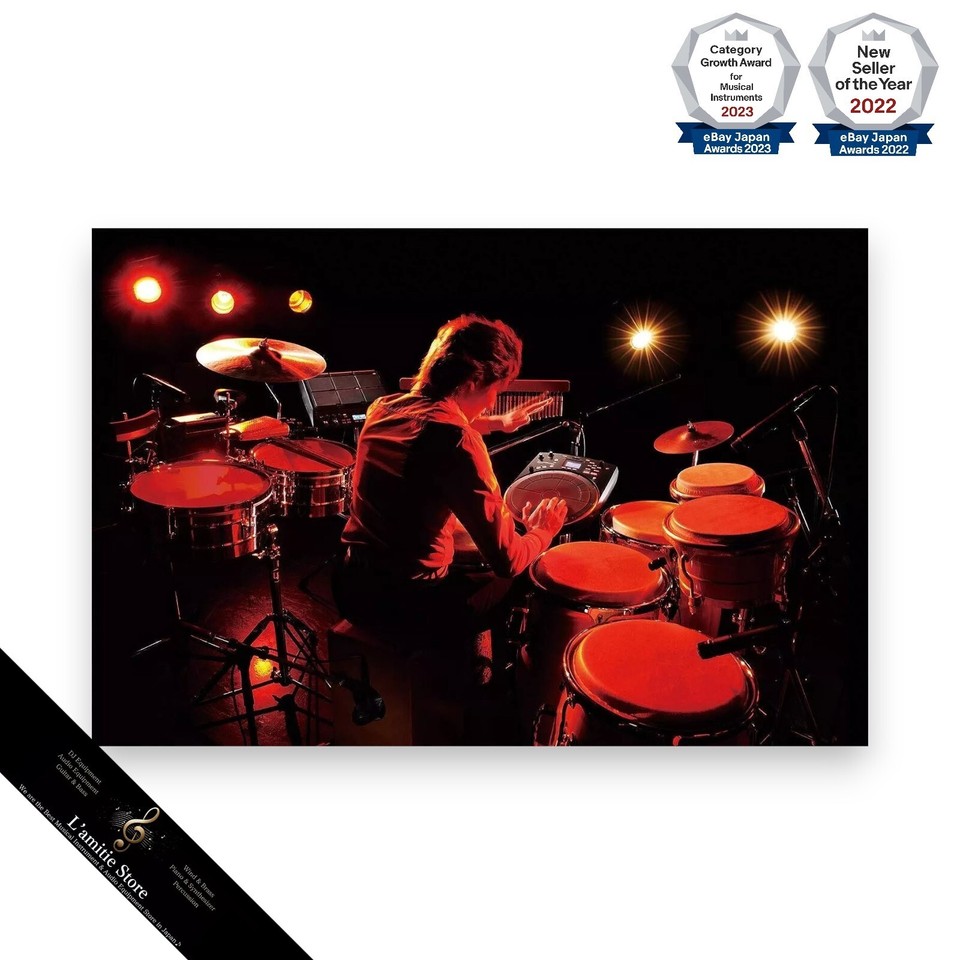 Roland HandSonic HPD-20 Digital Hand Percussion JP HPD20 Black 40cm 2 ...