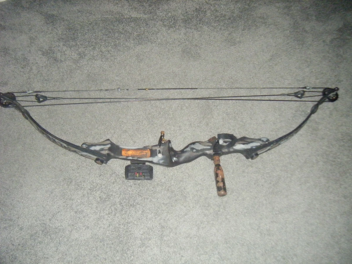 Compound Recurve Bow Hybrid