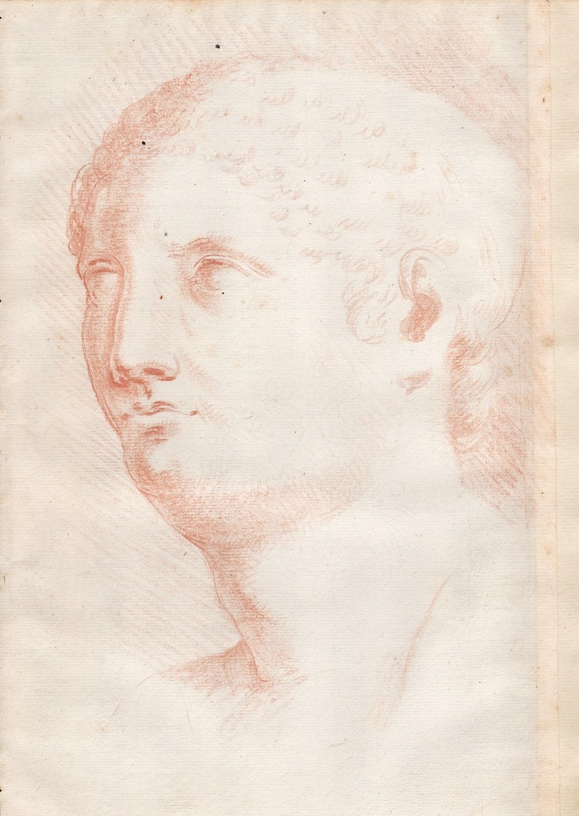 Head Man Antiquity Sanguine Drawing Red Chalk Drawing 18th Century | eBay