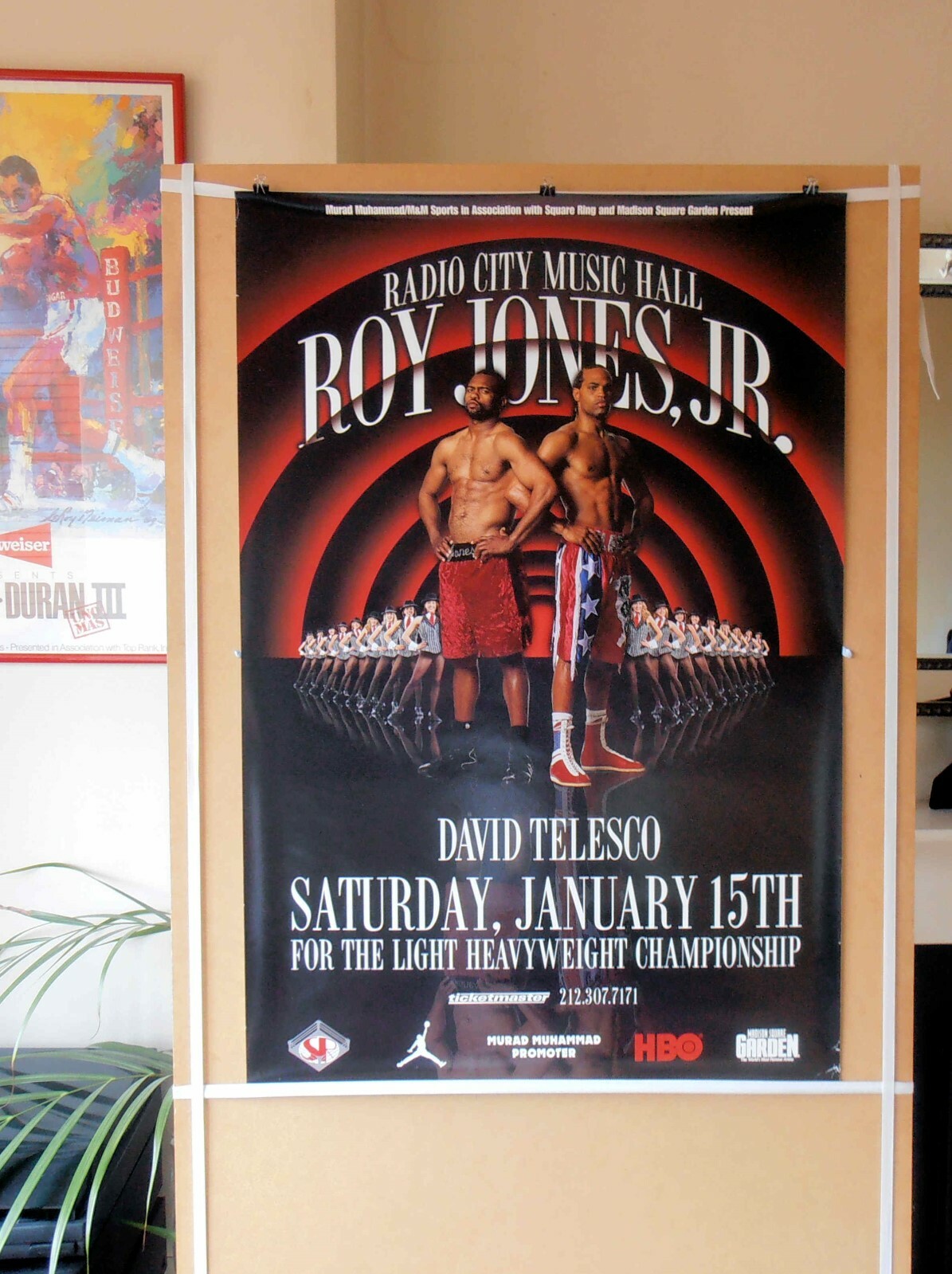 ROY JONES JR vs. DAVID TELESCO : Original Onsite Boxing Fight Poster ...