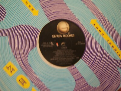 Cher Skin Deep 4 track US dj 12" | eBay