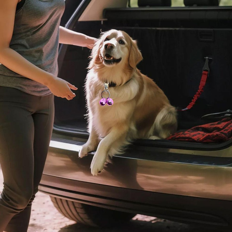 Extra Loud Cat & Dog Bells for Pets Collar Charm Pendant Vintage Lot I0 ...