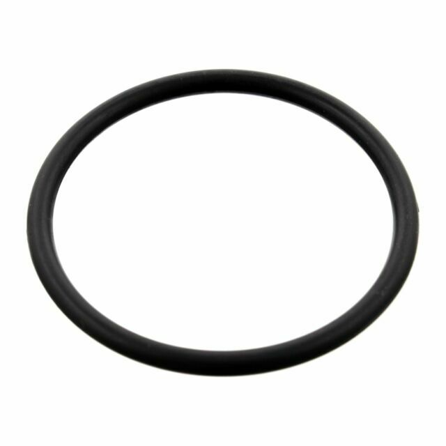 Victor Reinz Engine Coolant Thermostat O-ring 407313400 MERCEDES ...