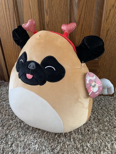 LIMITED EDITION Squishmallow Pam The Pug Valentine’s Day 16" - BNWT | eBay