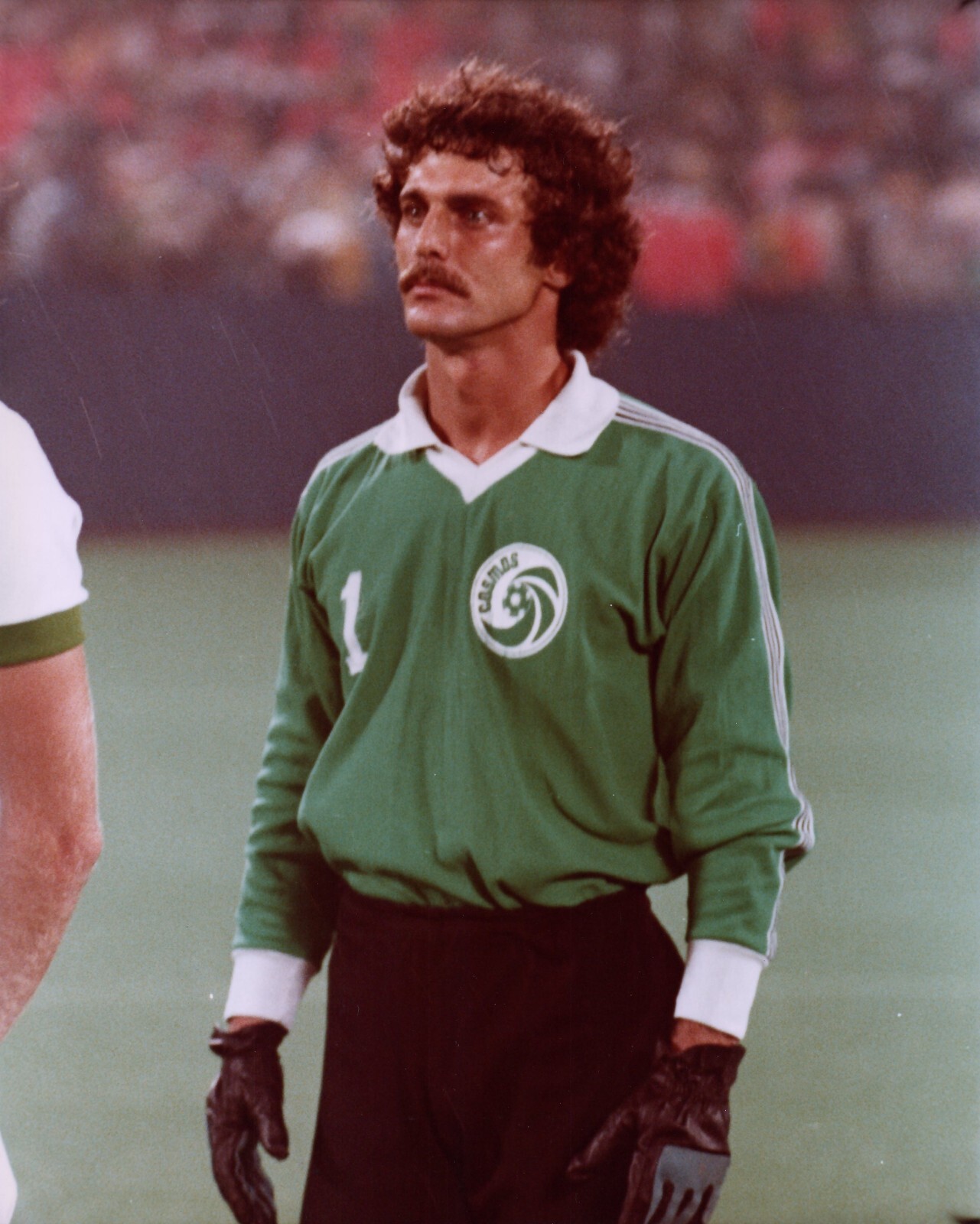 Shep Messing NY Cosmos NASL Original 1970's Vintage 8x10 Photo Played ...