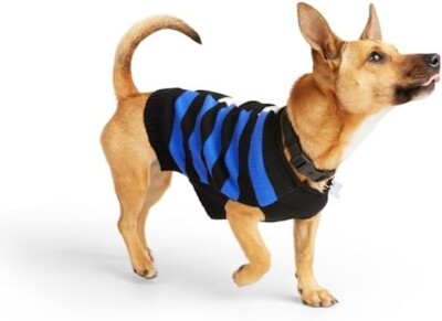 Youly Pet Dog Sweater White, Black & Blue X-Small NWT | eBay