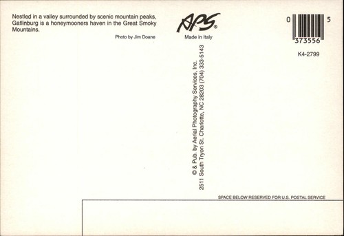 Gatlinburg Tennessee mountains city space tower fall foliage aerial ...