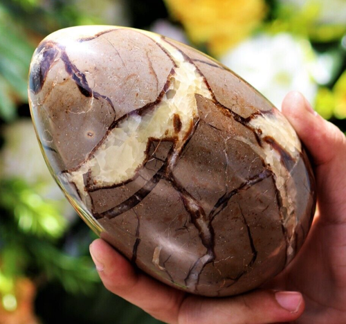 135MM Yellow Septarian Egg Septaria Septeyre Chakra Crystal Healing Gemstone Egg | eBay