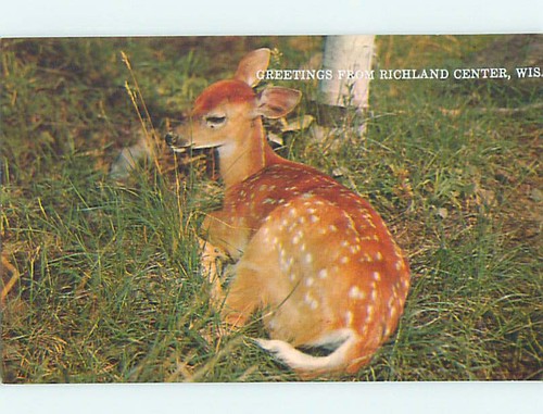 Pre-1980 DEER HUNTING INTEREST Richland Center by Madison & La Crosse ...