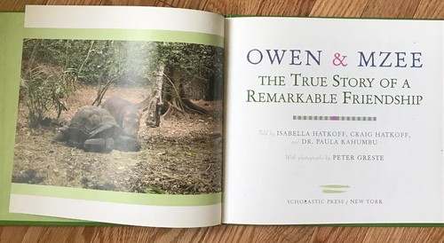 Owen & Mzee Hardcover Illustrated Book The True Story Of A Remarkable ...