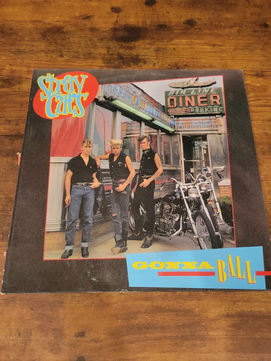 Stray Cats Gonna Ball