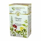 Organic Ginger Peppermint Tea 24 Bags By Celebration Herbals | eBay