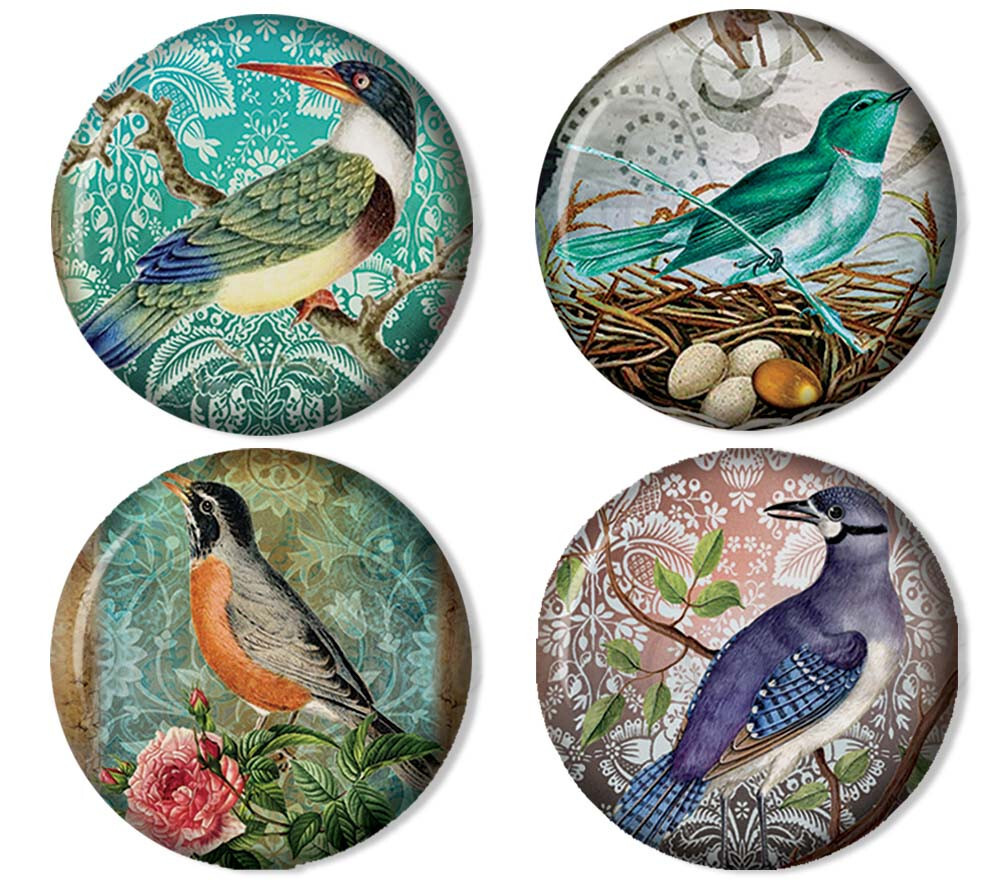 Lovely Bird Lover Collection - Set of 4 Hand Pressed FRIG MAGNETS 2.25 ...