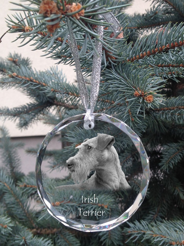 Irish Terrier - Crystal Ball With Photo, Dog Picture In Crystal | eBay