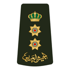 Jordanian Army Colonel Shoulder Rank Slides Rare Jordan Armed Forces | eBay