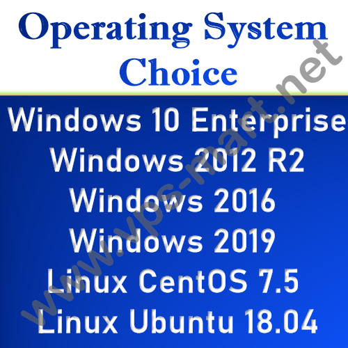 USA Windows VPS RDP Server/ Windows VPS Hosting - 4GB RAM + 150GB HDD ...