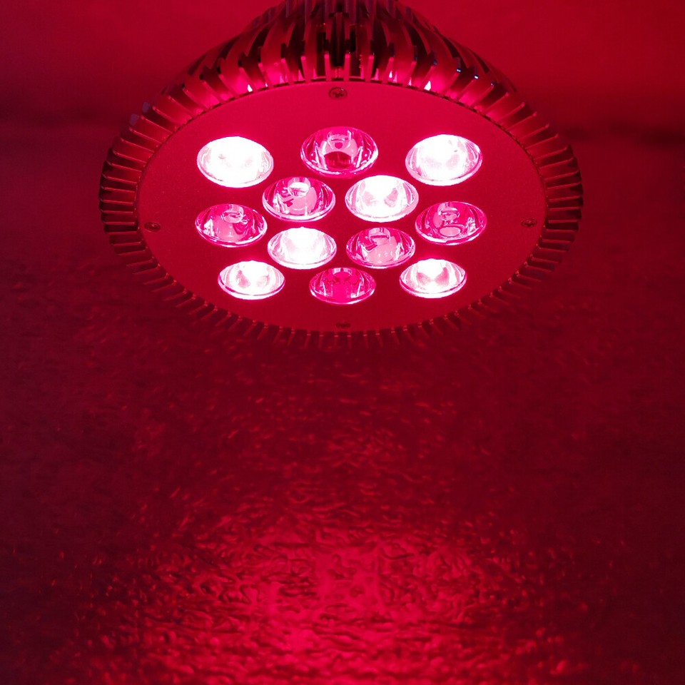 36W 830nm + 660nm Deep Red PAR38 Infrared LED Lamp Spot Light Bulb ...