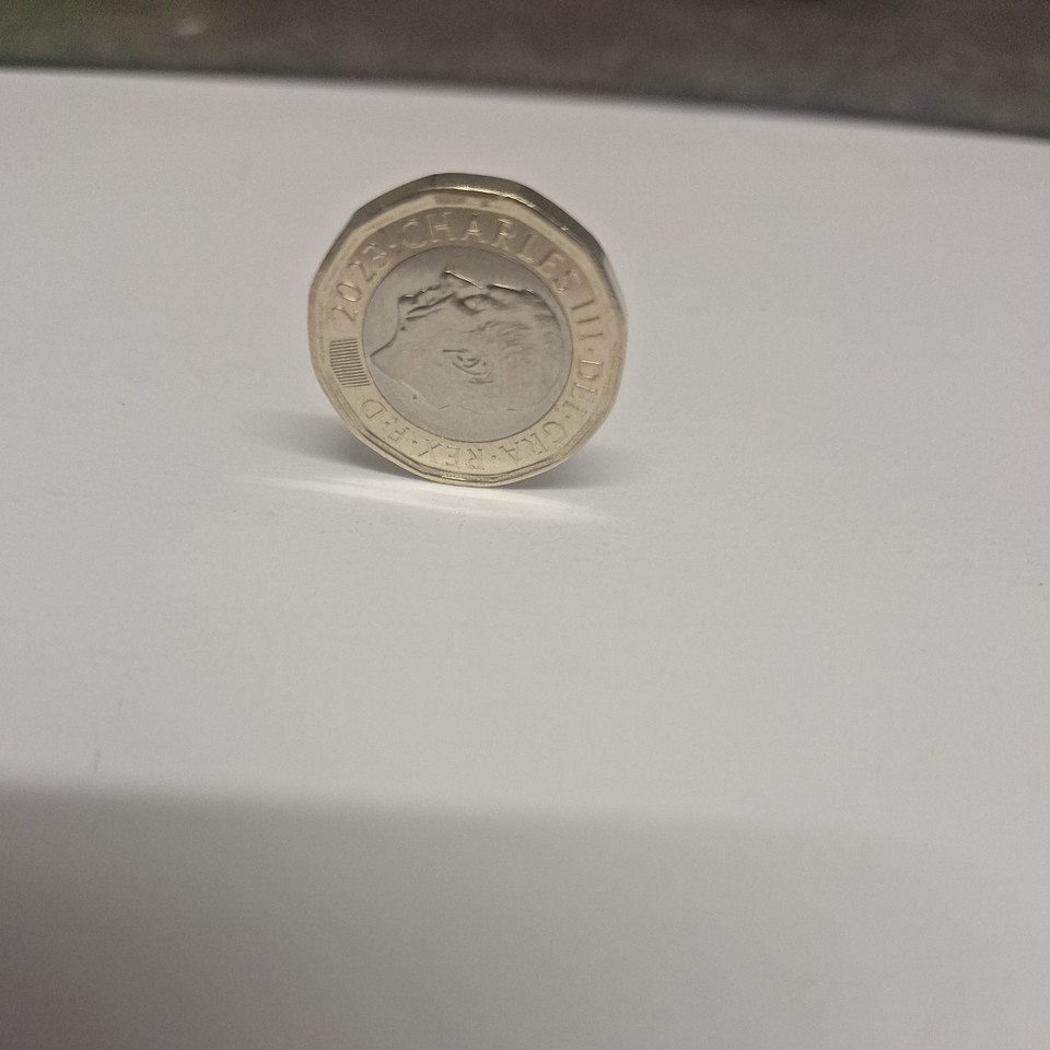 Very Rare 1 Pound Coin Collectors Item | eBay UK
