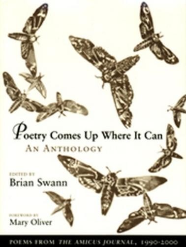 Brian Swann Poetry Comes Up Where It Can (Paperback) (UK IMPORT ...