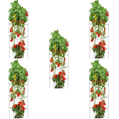 VEVOR Tomato Cages Plant Support Cage 5Pack Square Steel 3.8FT Silver ...