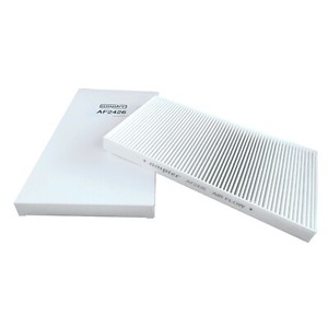 International Cabin Air Filter - AF2426, 2506656C1, AF26430, PA4857 ...