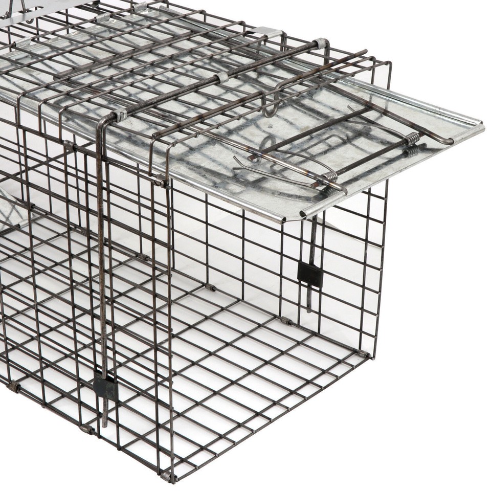 Large Animal Trap Spring Loaded 32x12x13" Easy to Bait & Release Fram ...