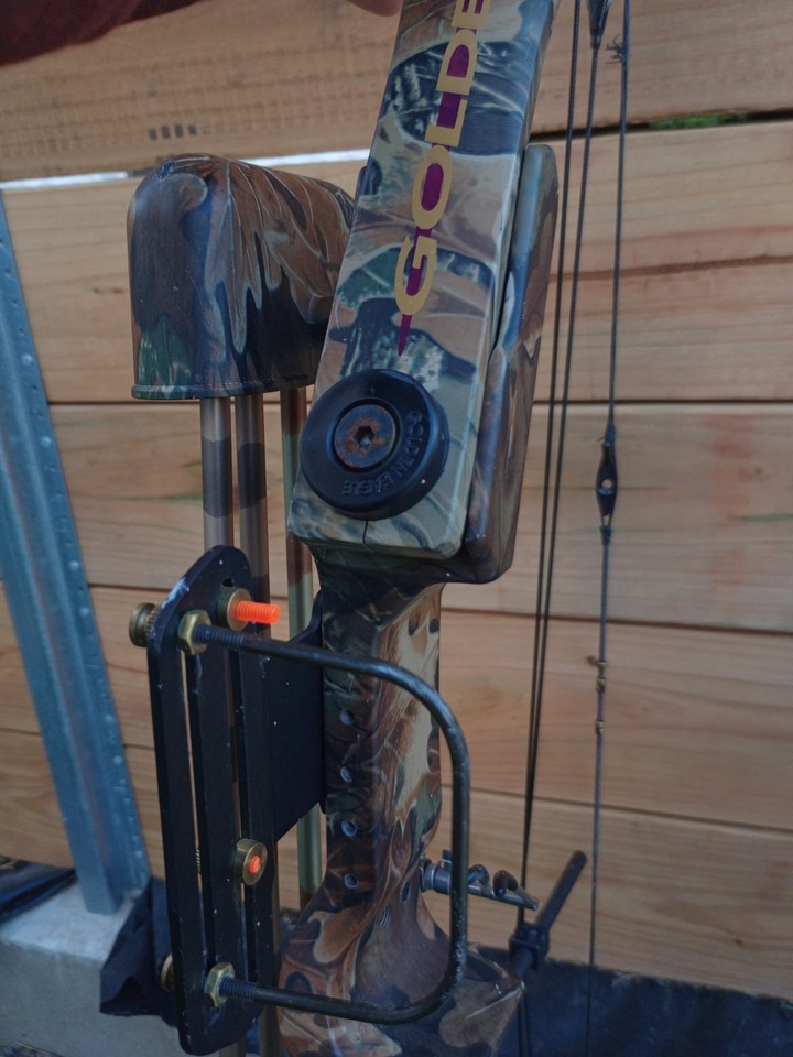 Golden Eagle Falcon Flame Compound Bow 50# & 32" Draw and 43" Length | eBay