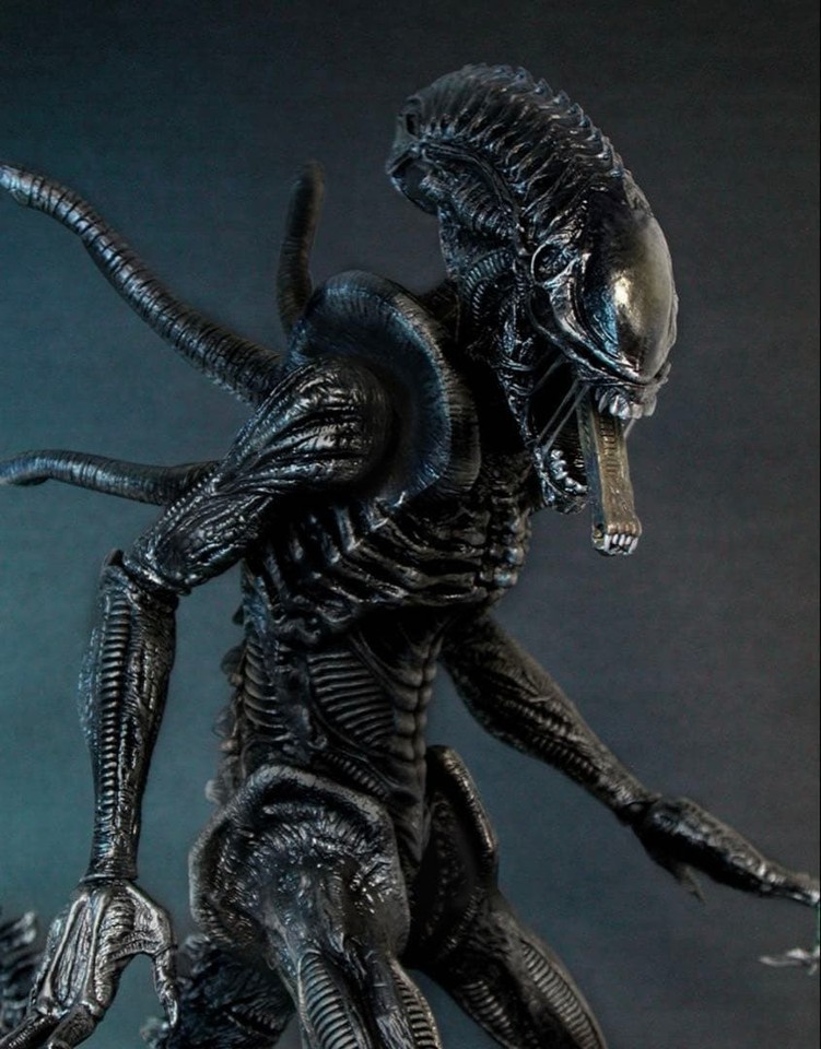 Hot Toys MMS54 Alien with Facehugger 12" Figure Aliens VS Predator Requiem 1/6 | eBay