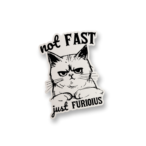 Not Fast Just Furious Funny Meme Vinyl Sticker for Laptop, Car, Water ...