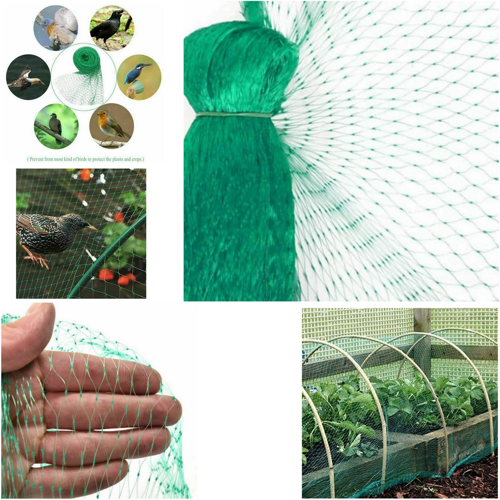 Green Blade 2x10m Garden Netting for sale online | eBay UK