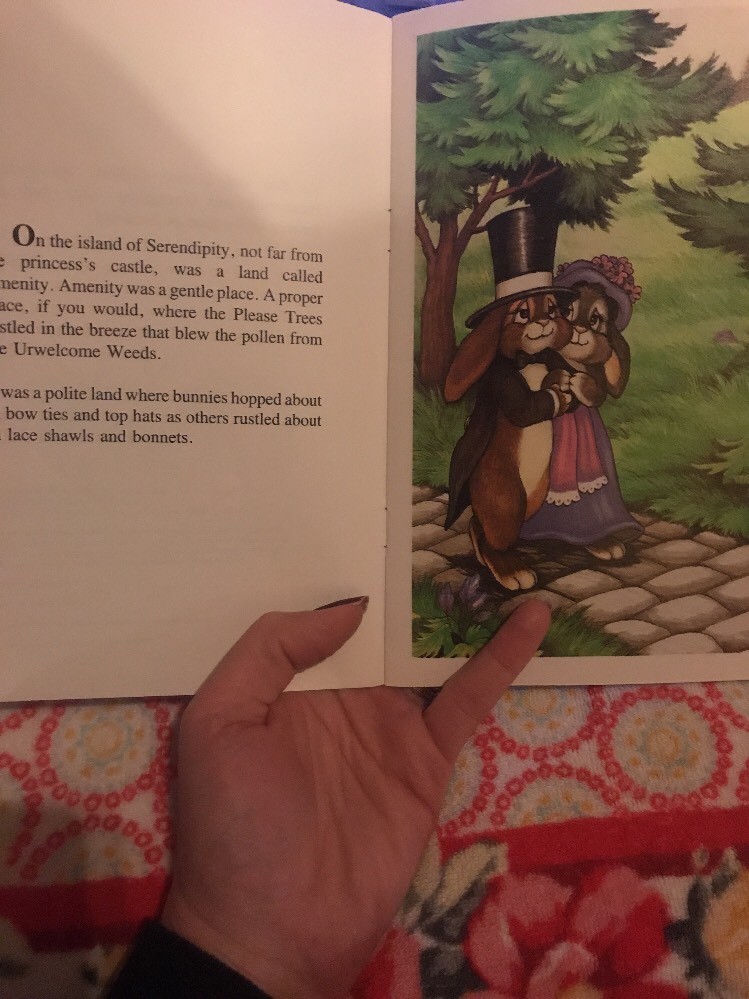 The Grumpling - A Serendipity Book by Stephen Cosgrove c1989 Good ...