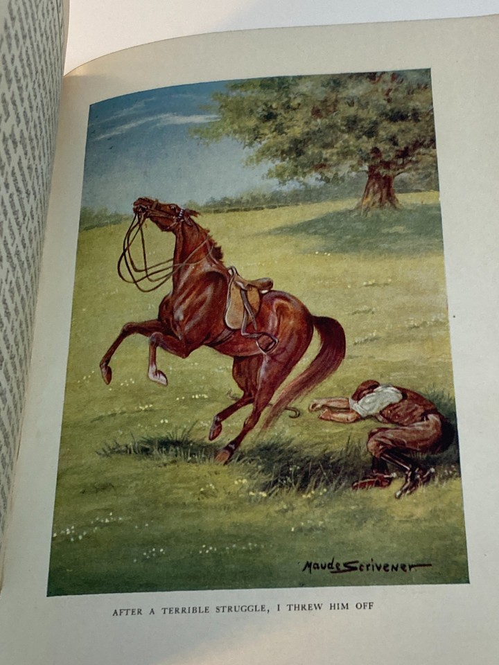 Black Beauty by Anna Sewell; 10 Color Plates, George Jacobs, Very Good ...