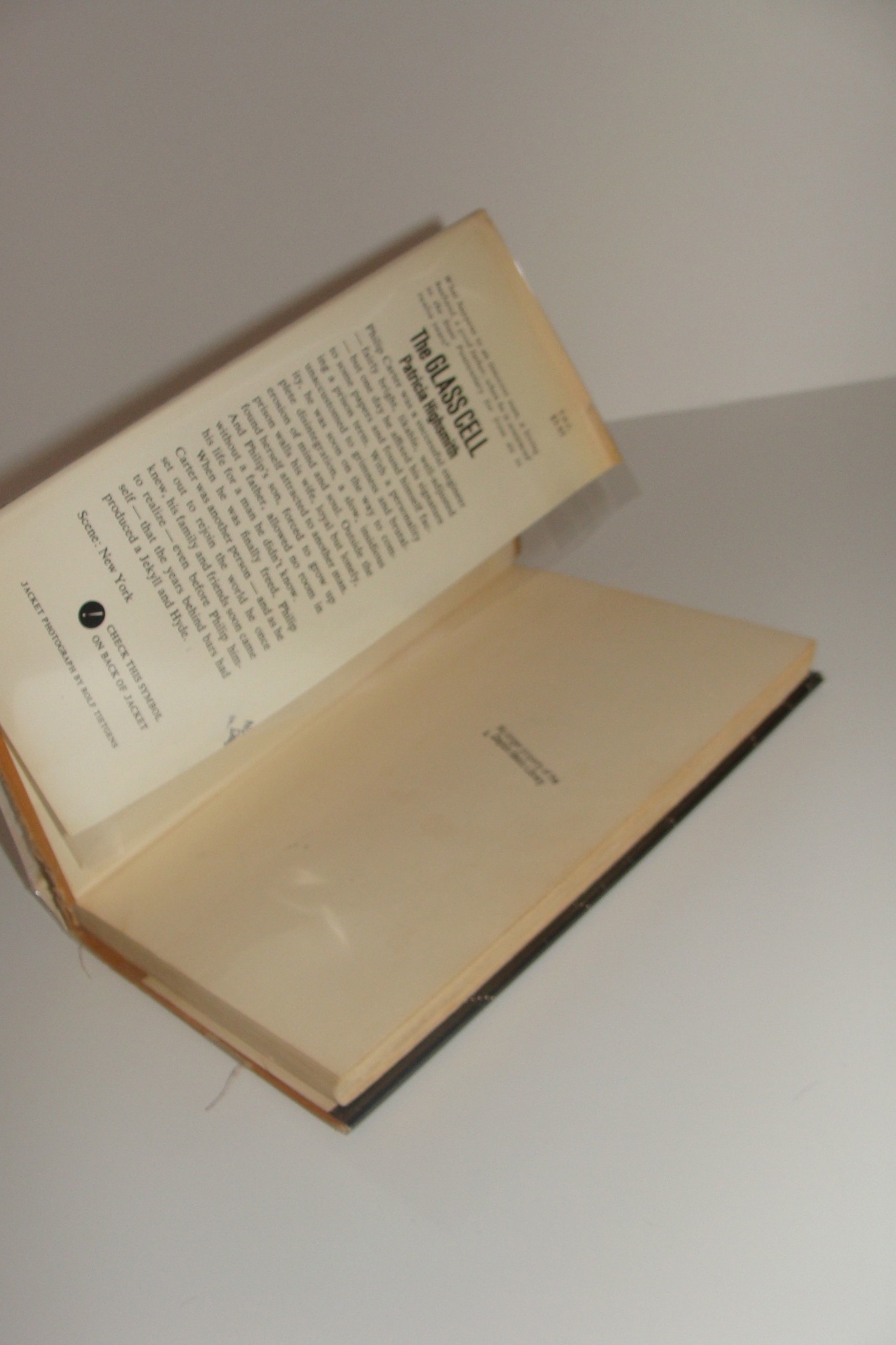 The Glass Cell By Patricia Highsmith 1st/1st 1964 Crime Club Hardcover ...