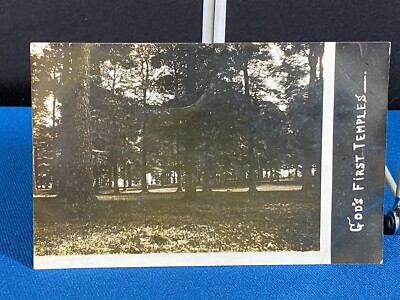 Large Trees - God's First Temple's Antique RPPC Real Photo Postcard | eBay