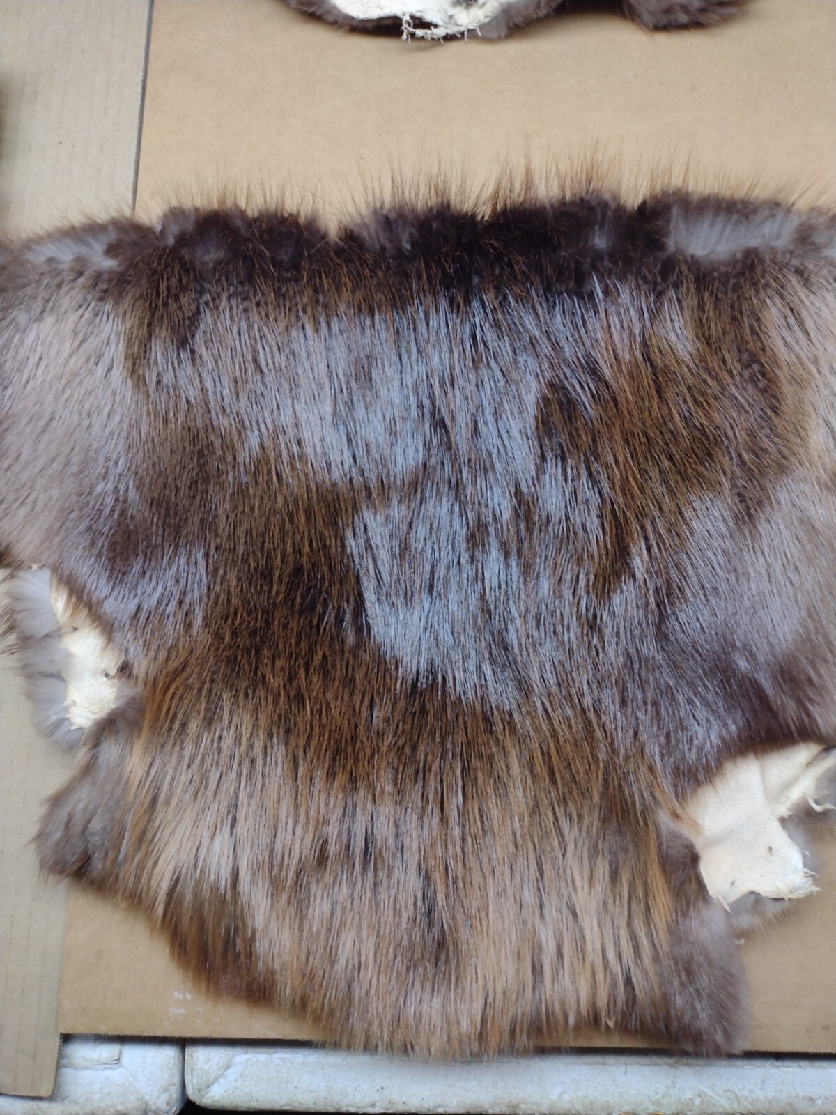 Professionally soft tanned beaver hide in Rug form/crafts/taxidermy | eBay