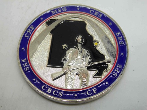 CEF MSG CES LRS FSS CBCS CF SFS MISSION SUPPORT GROUP COMMANDER ...