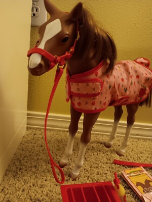 Our generation Morgan Foal | eBay