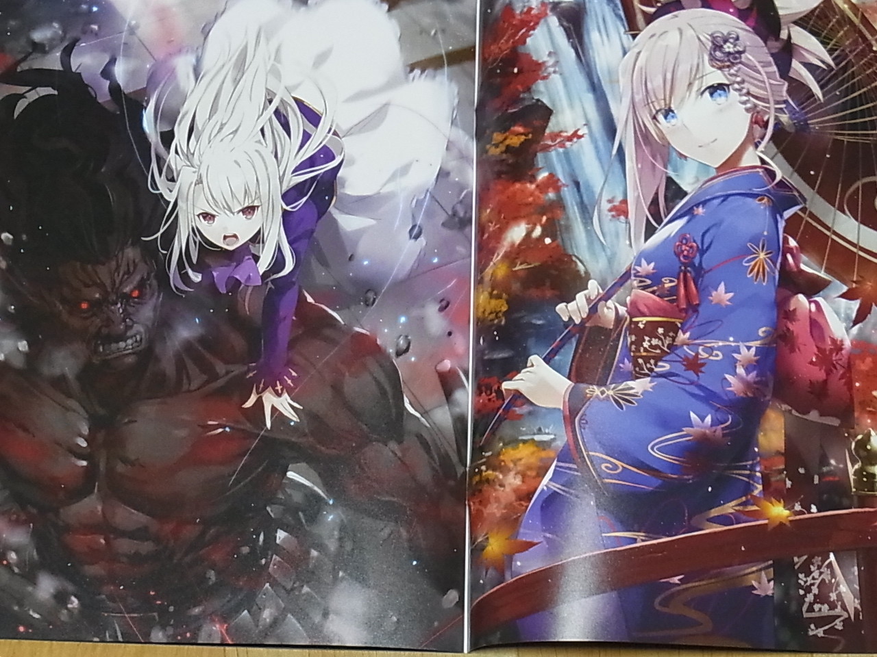 Debuneko Fate FGO Color Fan Art & Sketch Book with 2 clear file set C95 ...