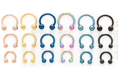 2pcs. 14G Anodized Surgical Steel Ball Horseshoe Circular Earrings ...