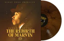 October London | Brown Marbled Vinyl LP | The Rebirth Of Marvin | eBay
