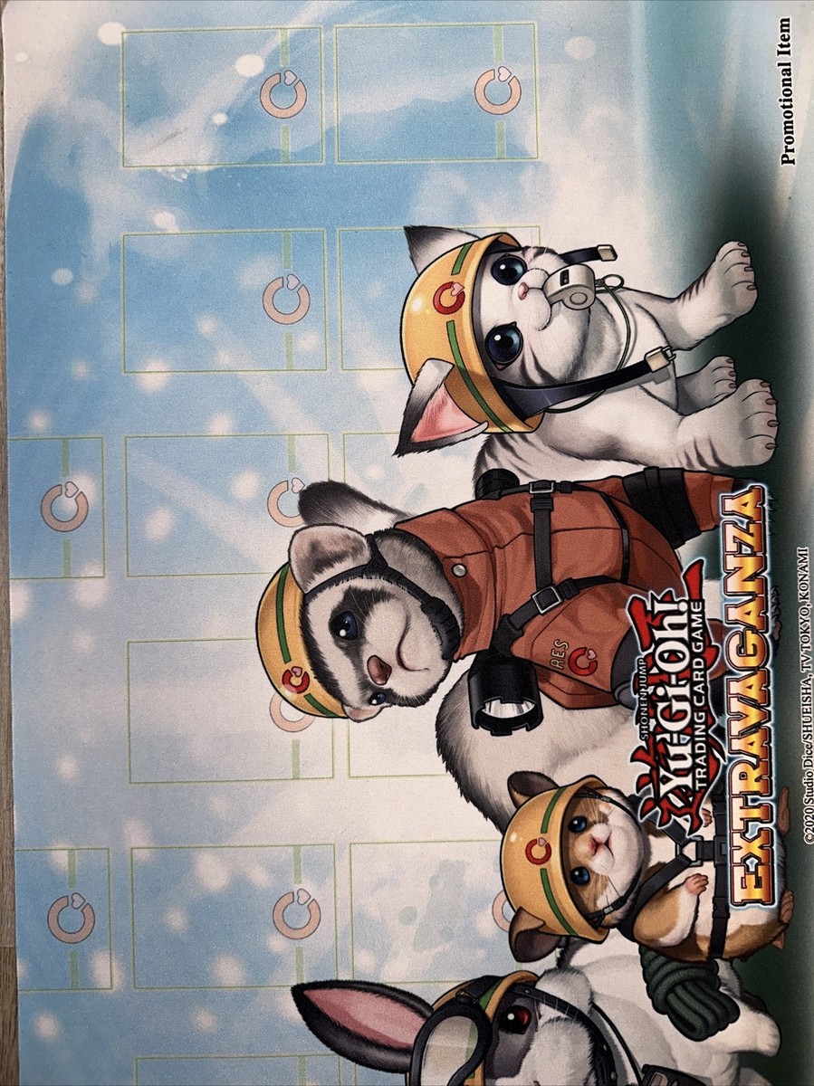 Rescue Rabbit Playmat