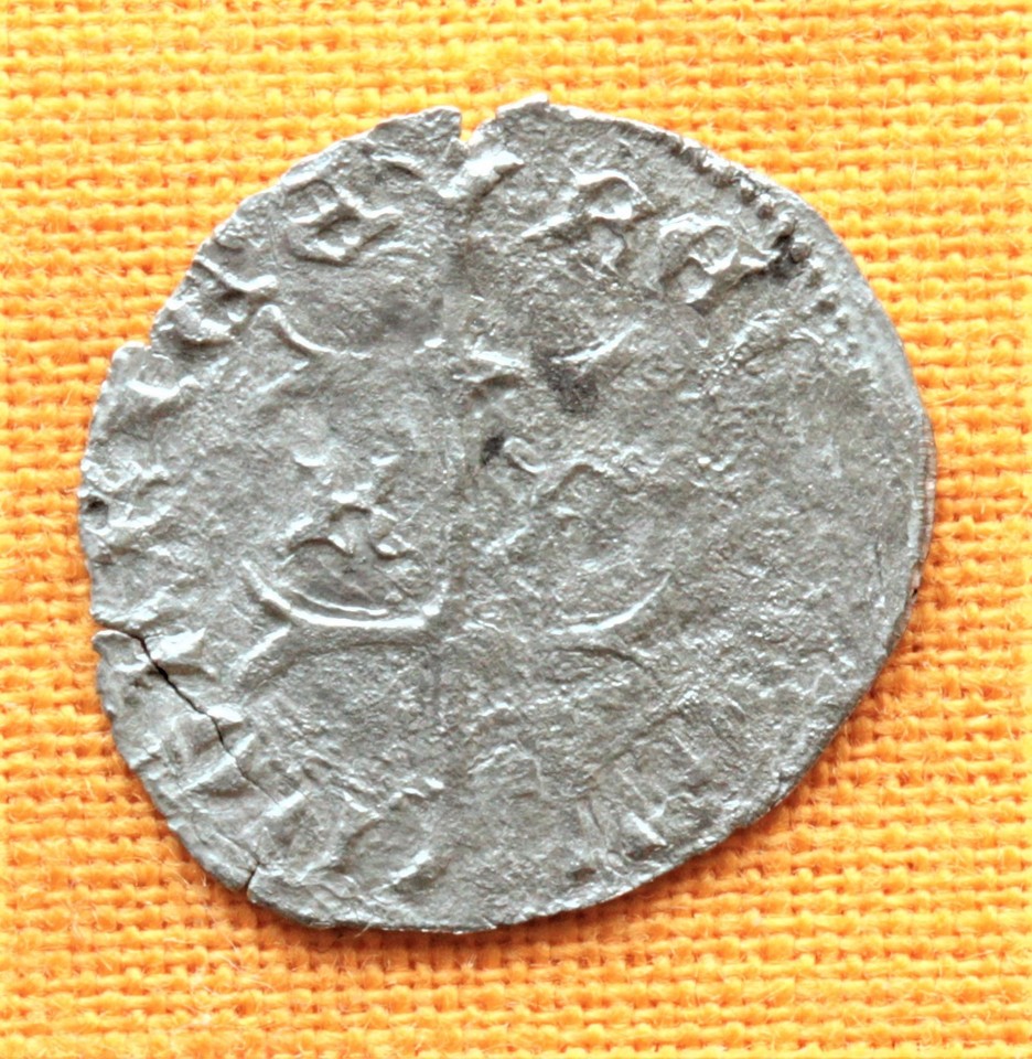 Medieval Silver Coin - Corvin Mathias 1458-1490 Denar, Rave in the ...