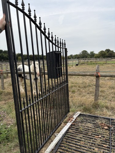 Metal Driveway Gates With Post box | eBay UK