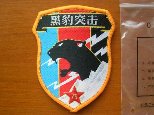07's series China PLA Army Special Forces Black Leopard Commando Unit ...