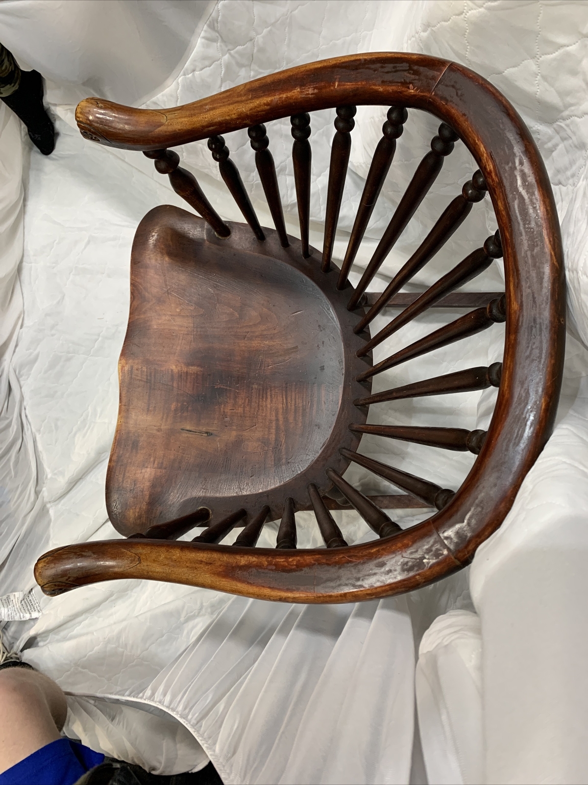 windsor dolphin head rocking chair | eBay