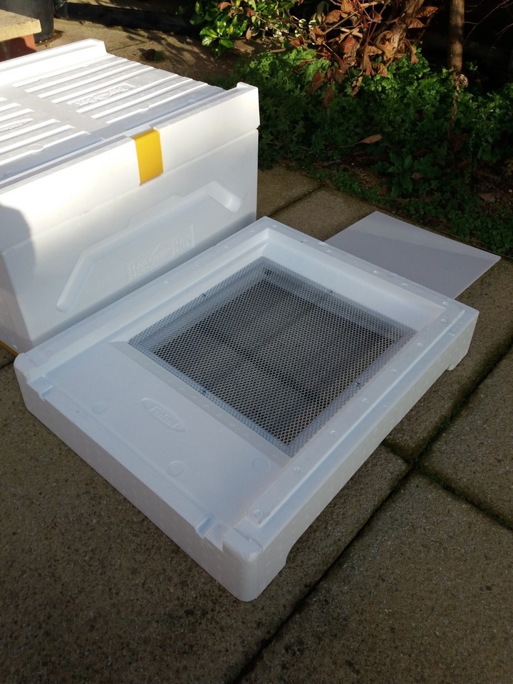 LANGSTROTH POLY BEEHIVE OVERWINTERED DEPOSIT. | eBay UK