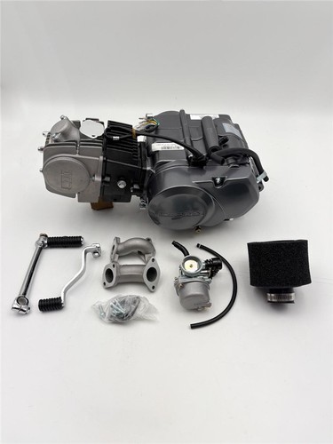Pit Bike Lifan 125cc Big Valve 4 Speed Semi Auto Engine & Carb BBR Old ...