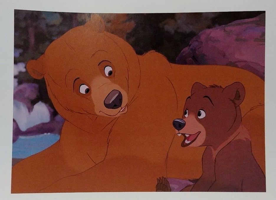Koda Brother Bear Quotes