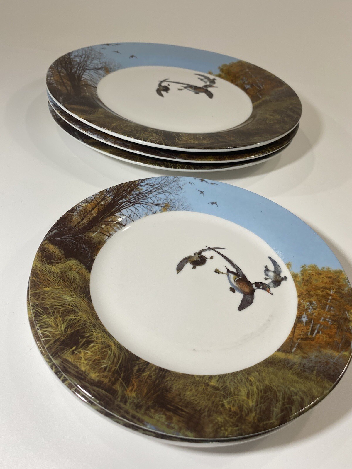 Rare Ducks Unlimited Dinner Set of 5, Dishes, Dish Set, Collection ...